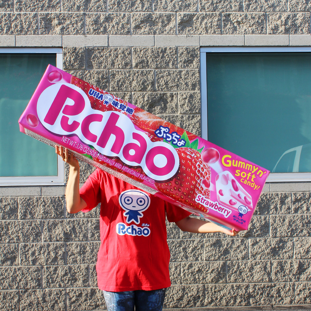 Puchao Jumbo Sticks! - UHA Mikakuto