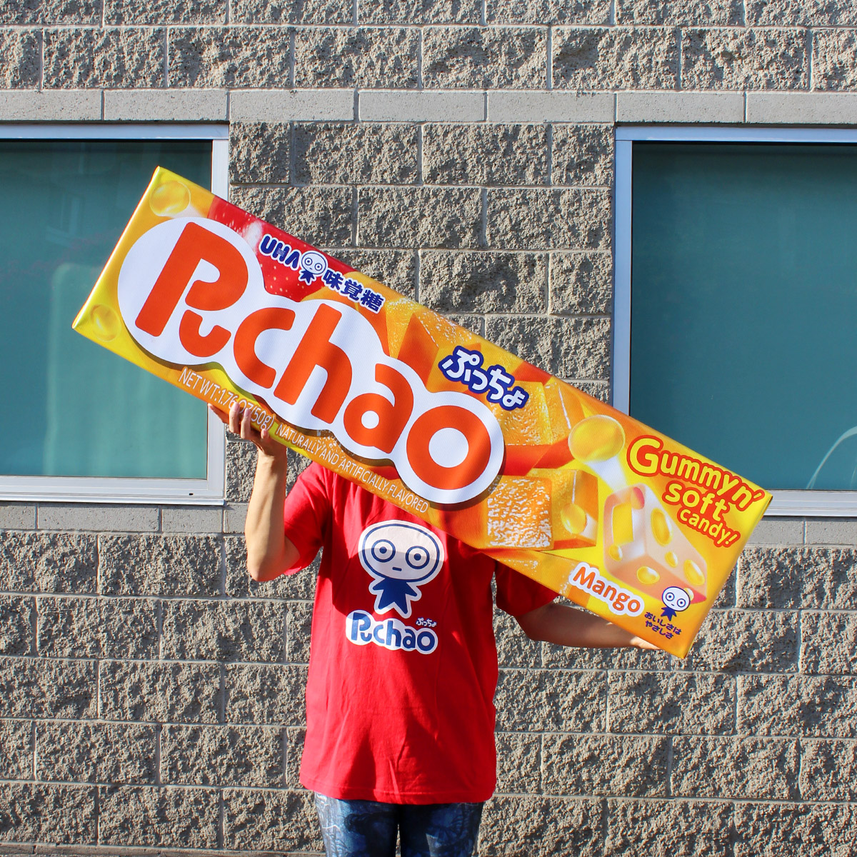 Puchao Jumbo Sticks! - UHA Mikakuto